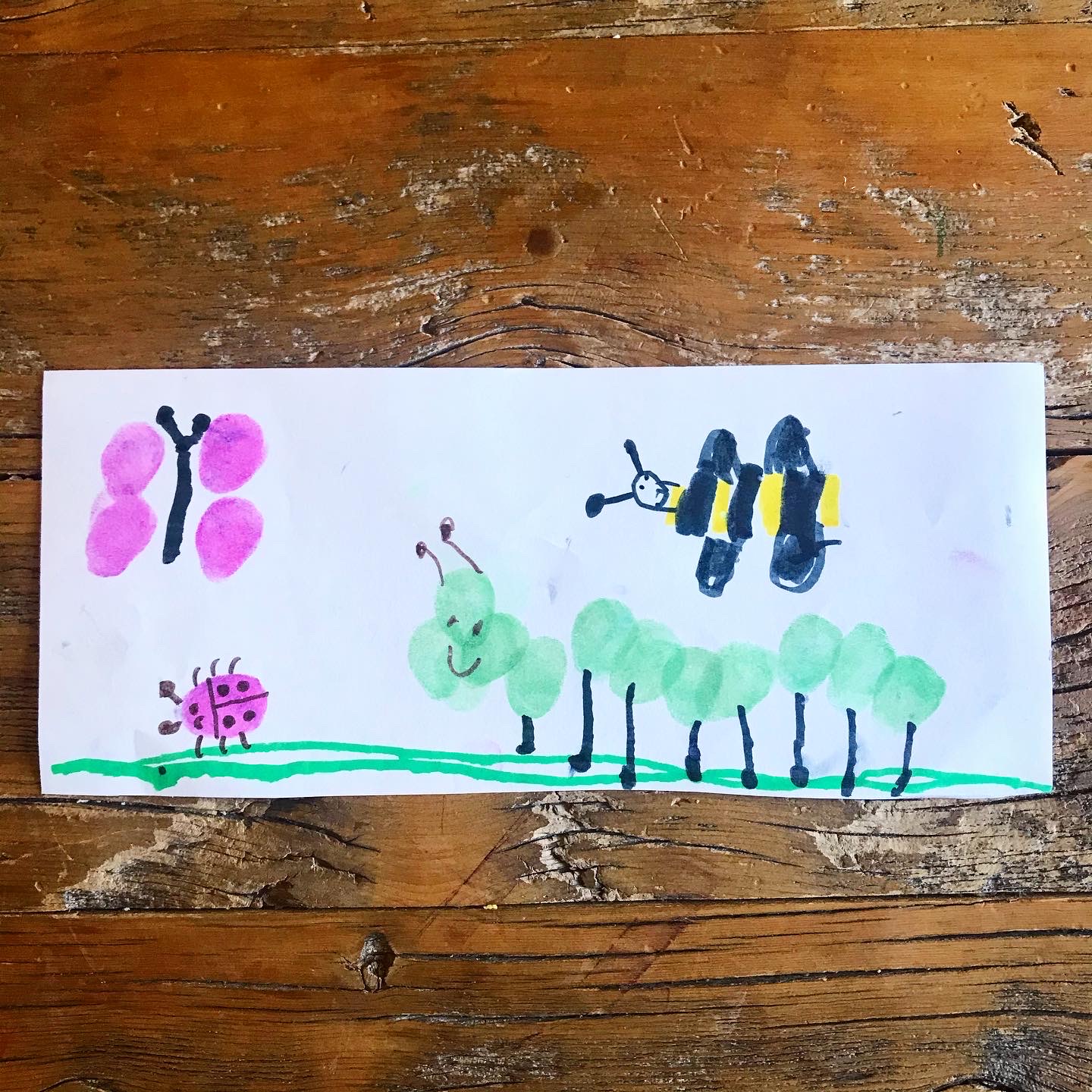 Stay Home Summer Camp 2020 Archive: Insect Camp! - Mamas Facing Forward