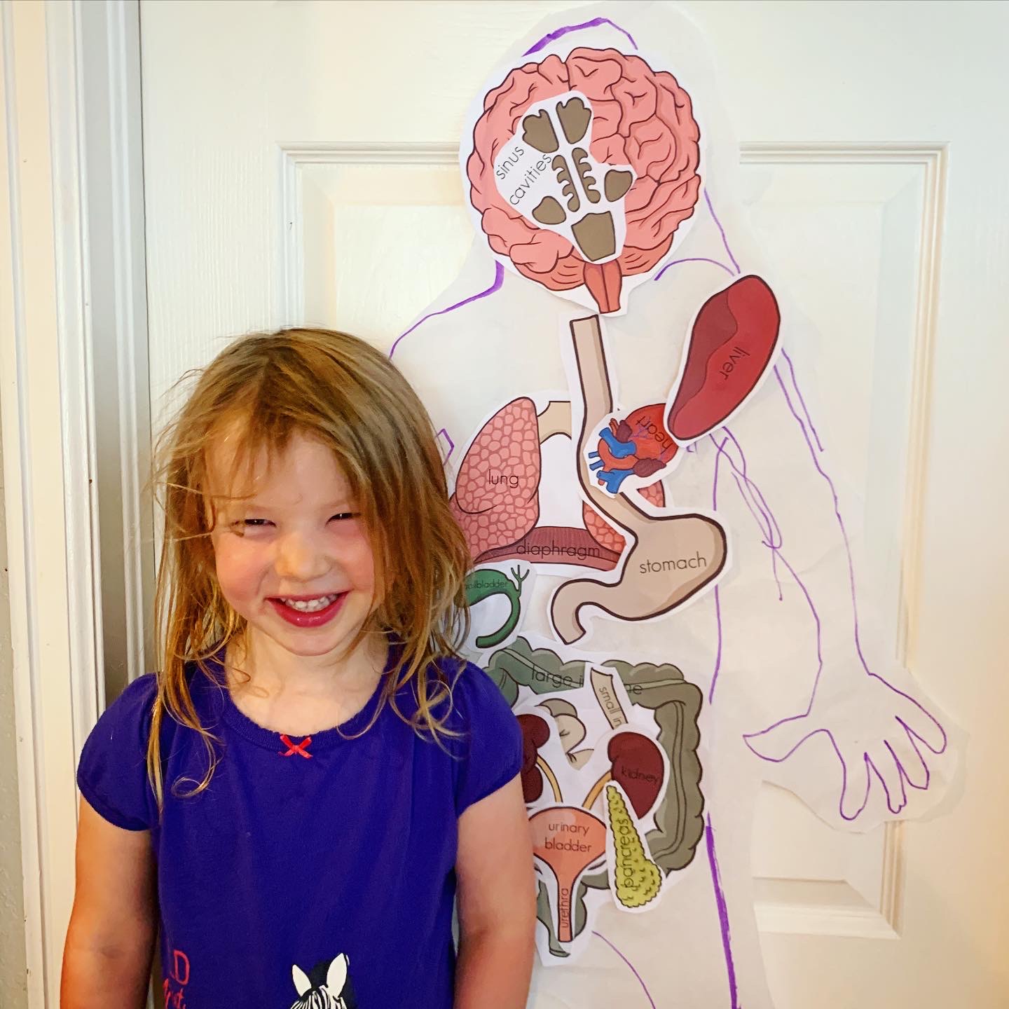 Stay Home Summer Camp 2021 Archive: Human Body Camp! - Mamas Facing Forward